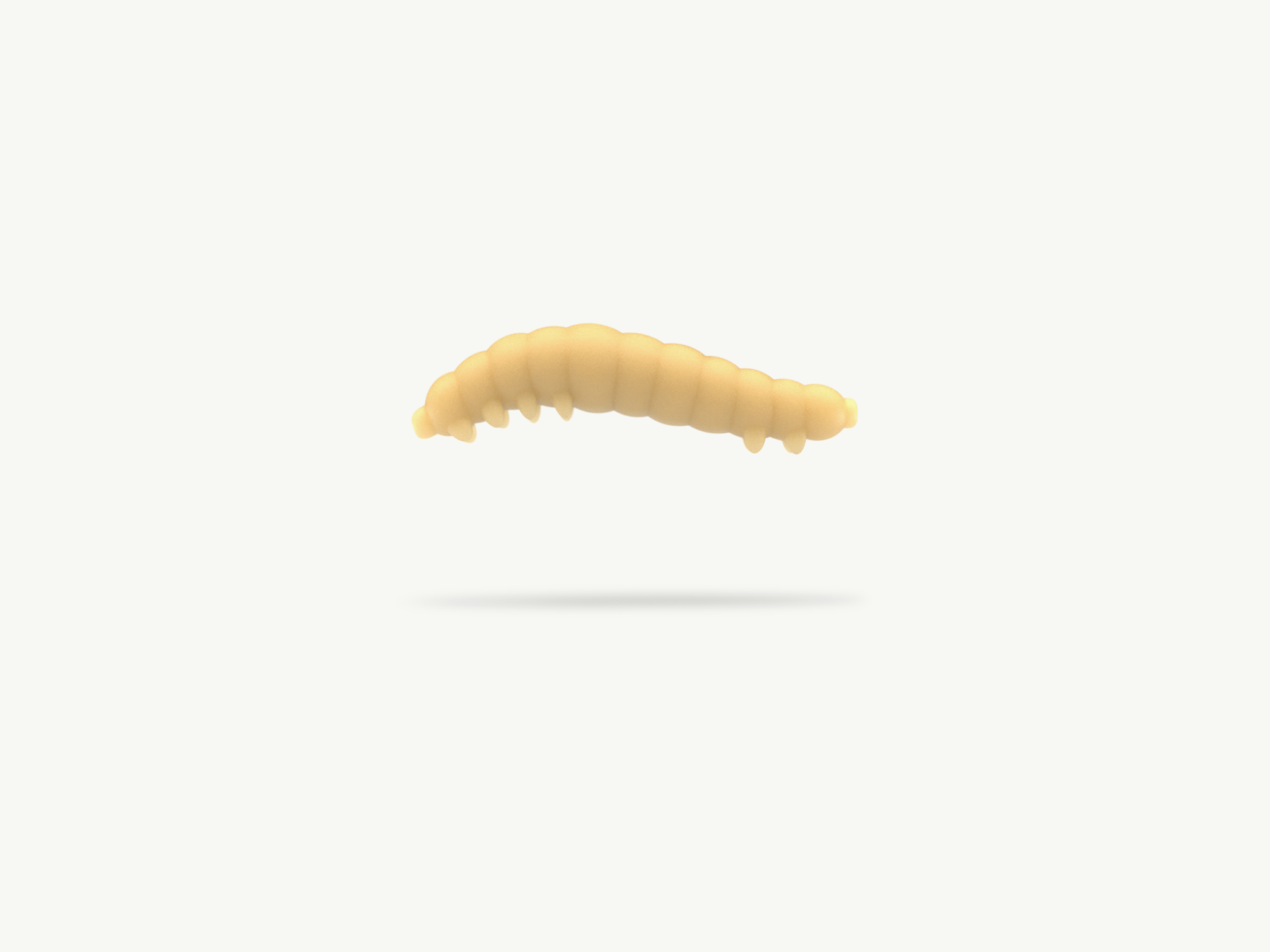 Greenfin BOOGIE WORM – Capt'n Greenfin